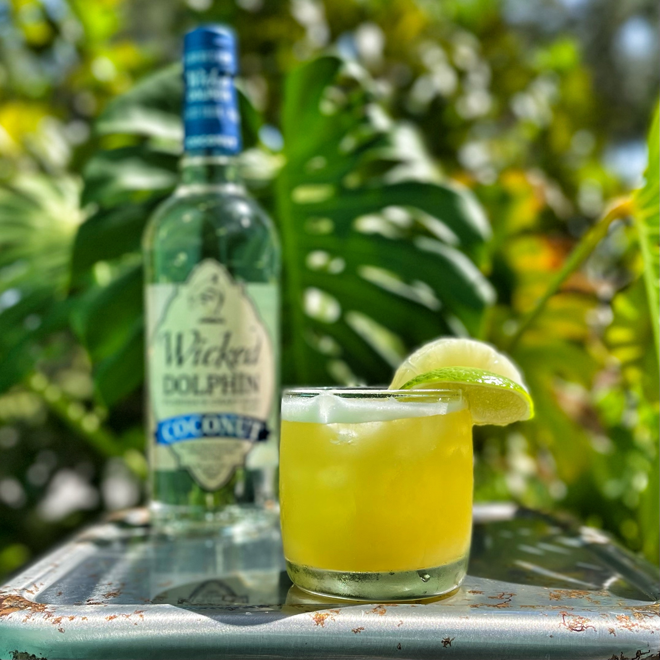 WICKED FLORIDIAN - Wicked Dolphin Rum